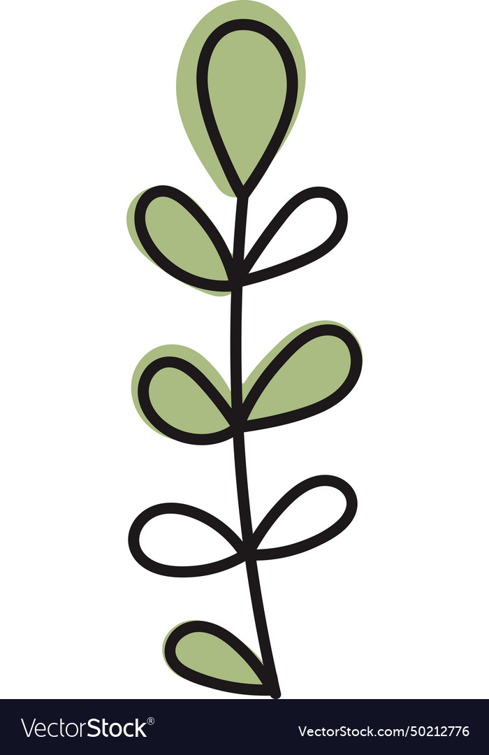 Branch with leaves outline Royalty Free Vector Image