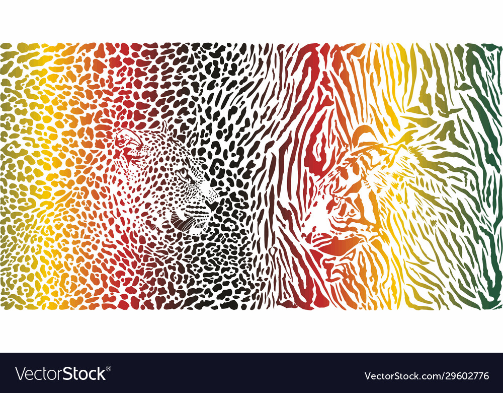 Tiger and leopard and color pattern background Vector Image