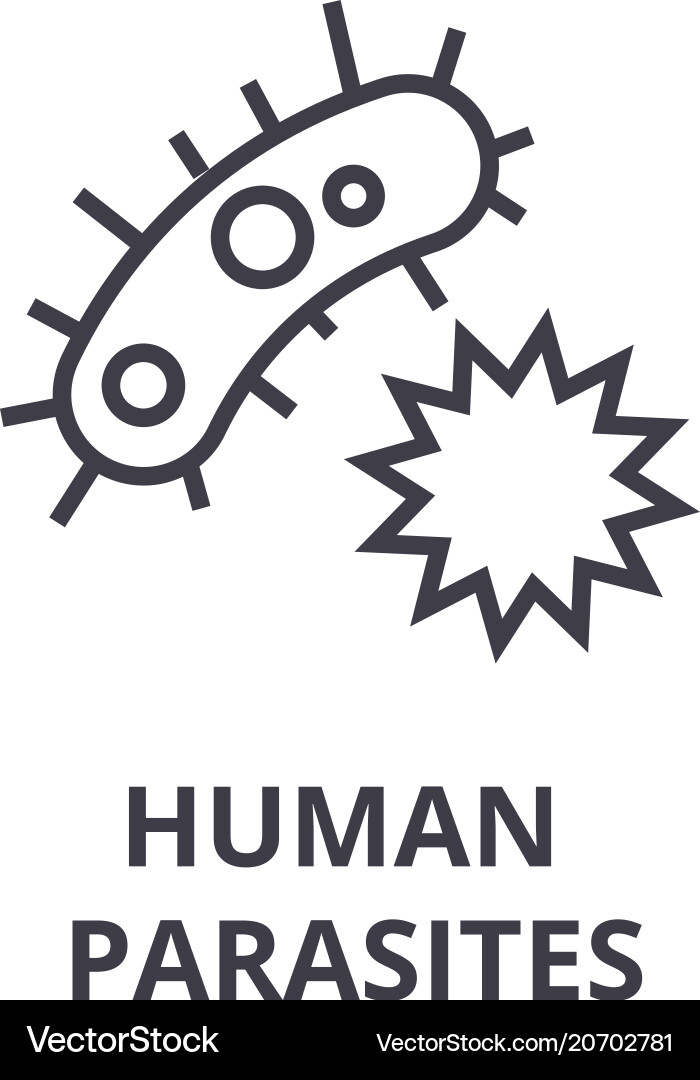Human parasites thin line icon sign symbol Vector Image