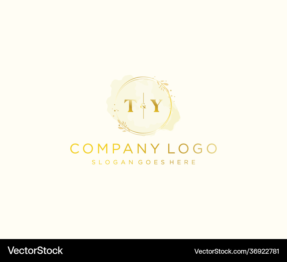 Initial ty letters colorful watercolor splash Vector Image