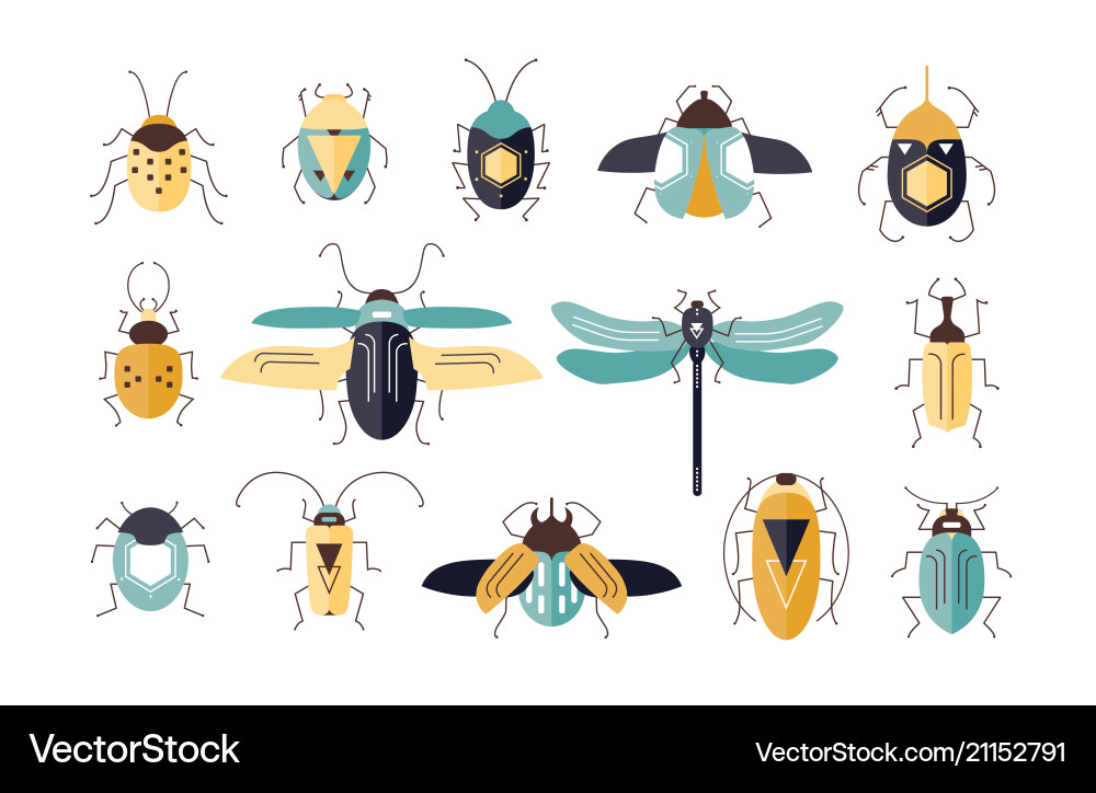 Bundle of different colorful geometric insects Vector Image