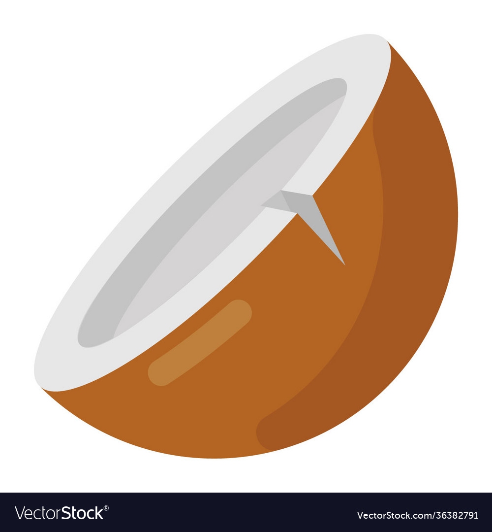 Coconut Royalty Free Vector Image - VectorStock