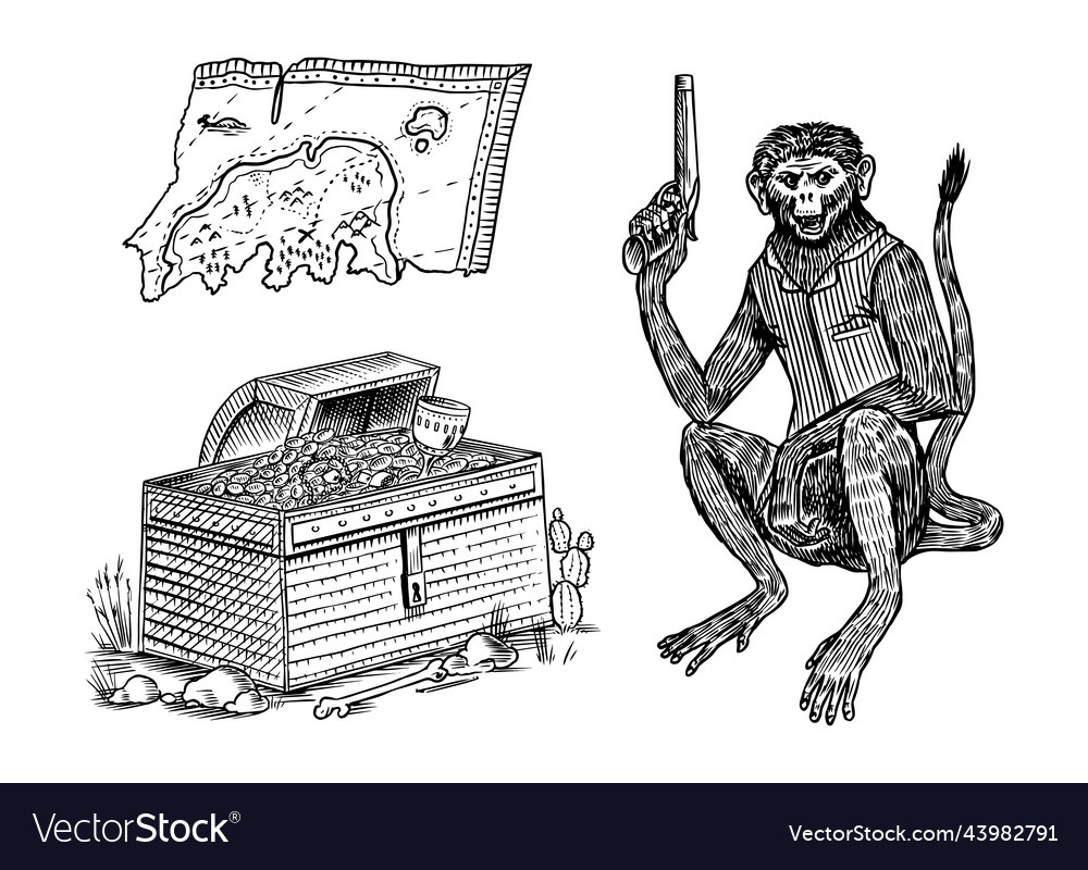 Monkey pirate with a revolver and a chest of gold Vector Image