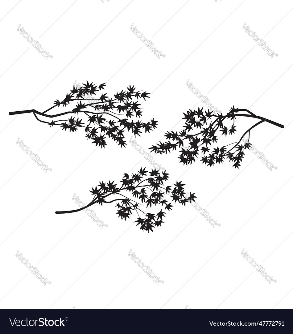 Set of maple tree branches silhouette Royalty Free Vector
