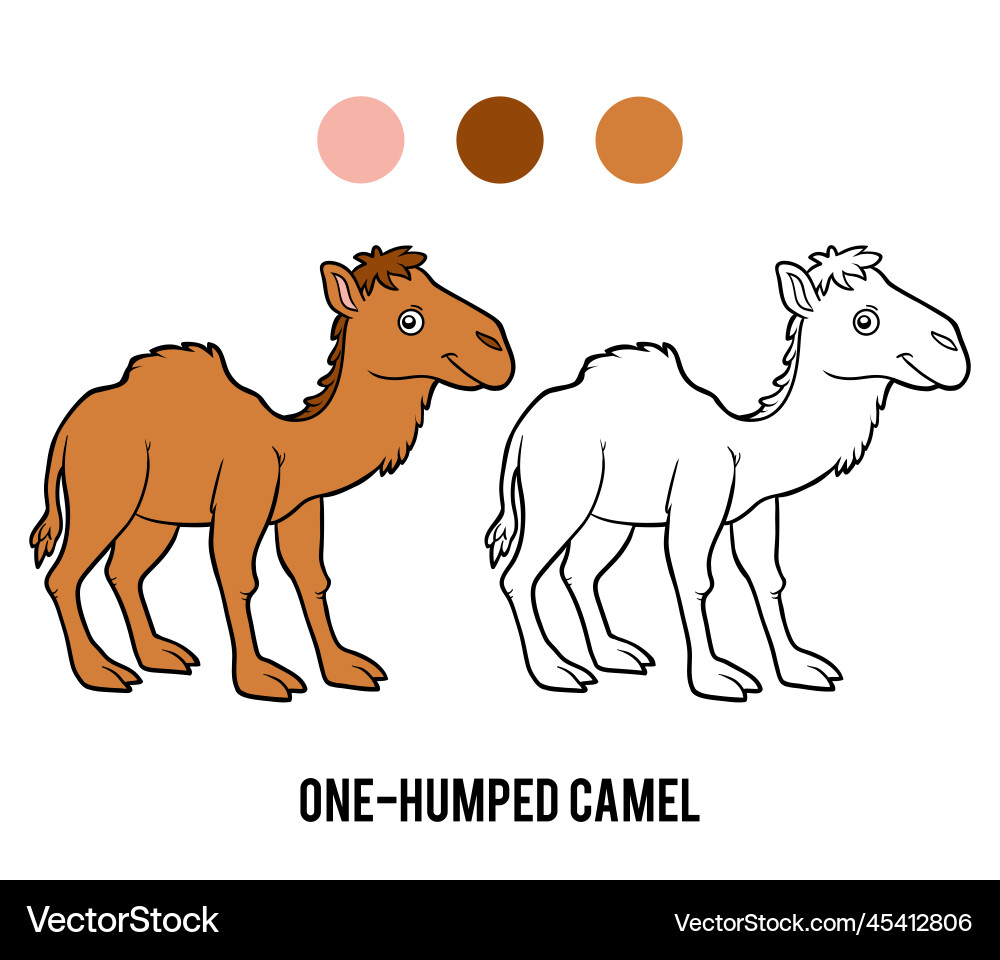 Coloring book one-humped camel Royalty Free Vector Image