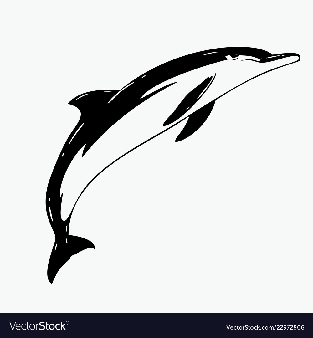 Dolphin Royalty Free Vector Image - VectorStock
