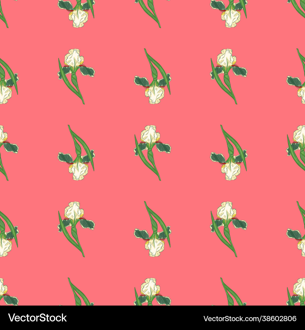 White iris flowers with green leaves seamless Vector Image