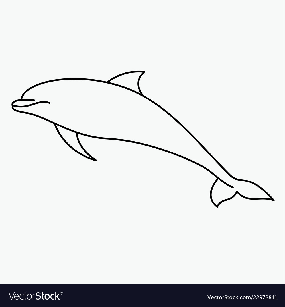 Dolphin Royalty Free Vector Image - VectorStock