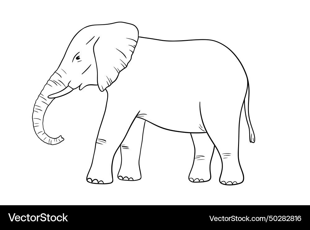 Elephant line sketch isolated on white background Vector Image