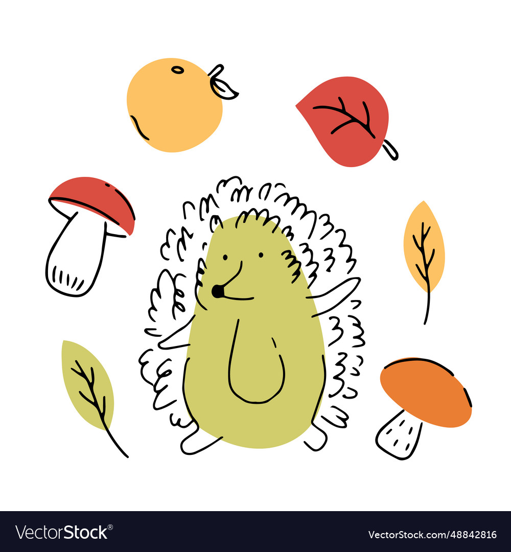 Hedgehog foliage mushrooms on white background Vector Image