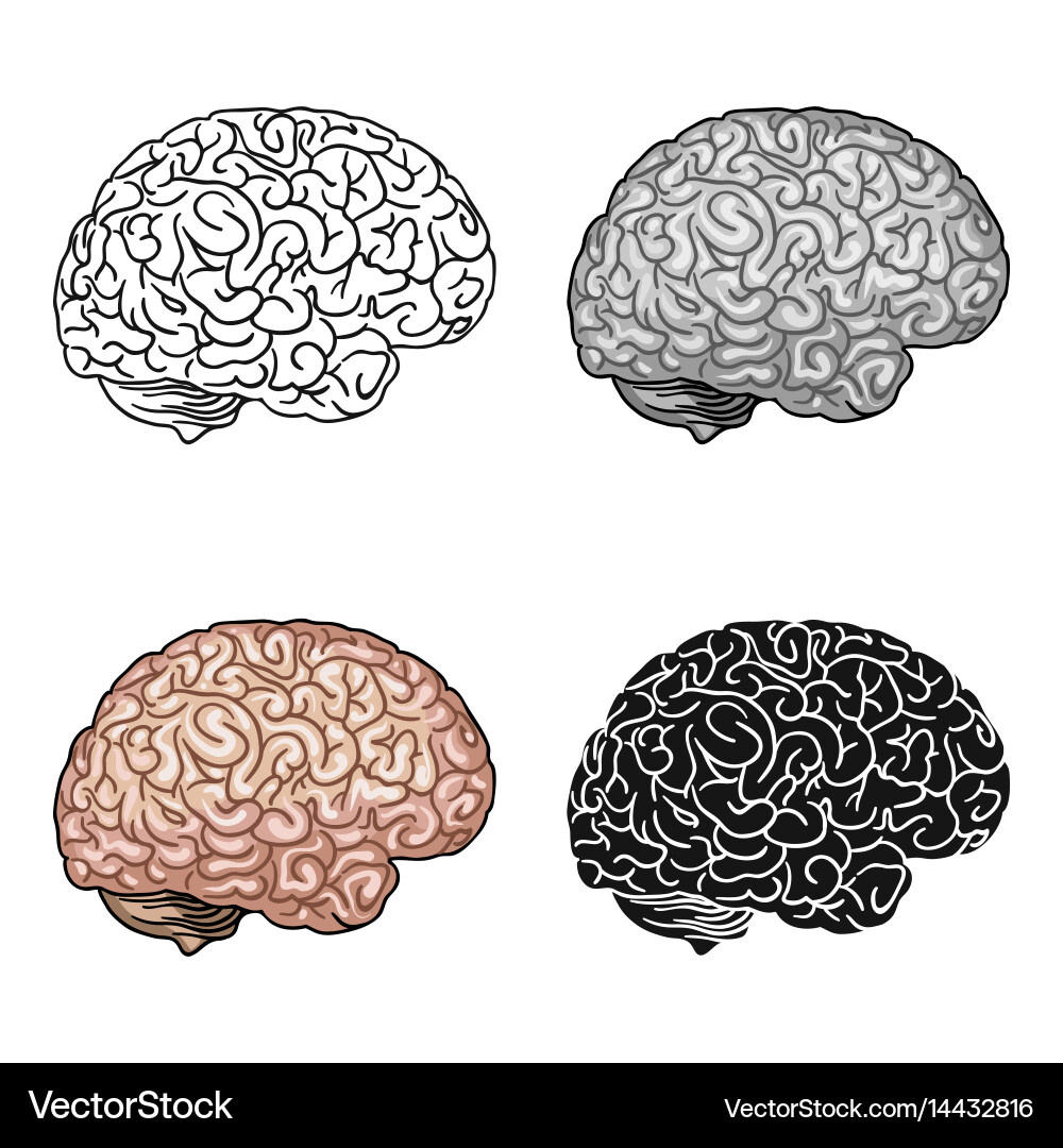 Human brain icon in cartoon style isolated Vector Image