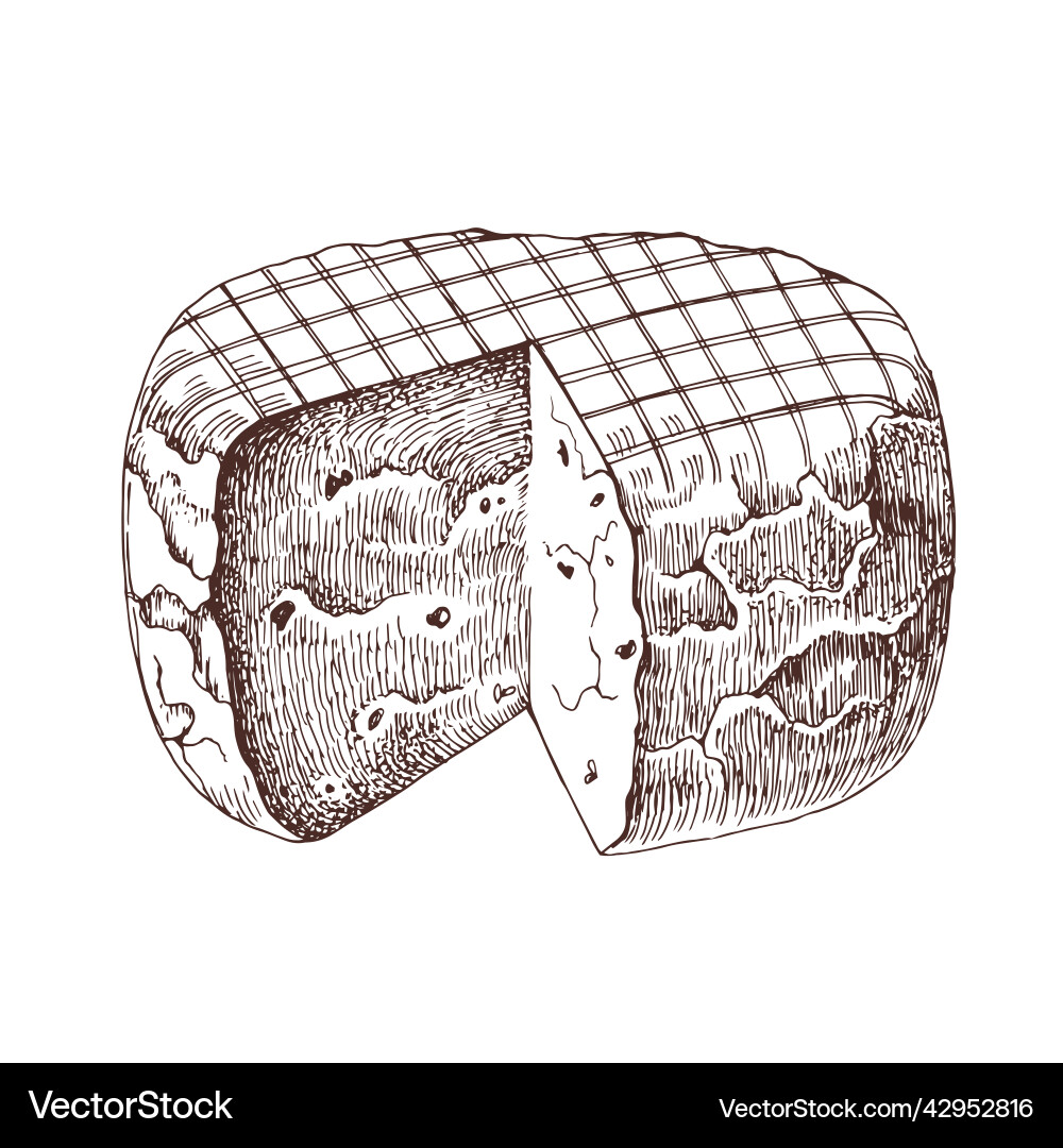 Monochrome round cheese parmesan isolated on white