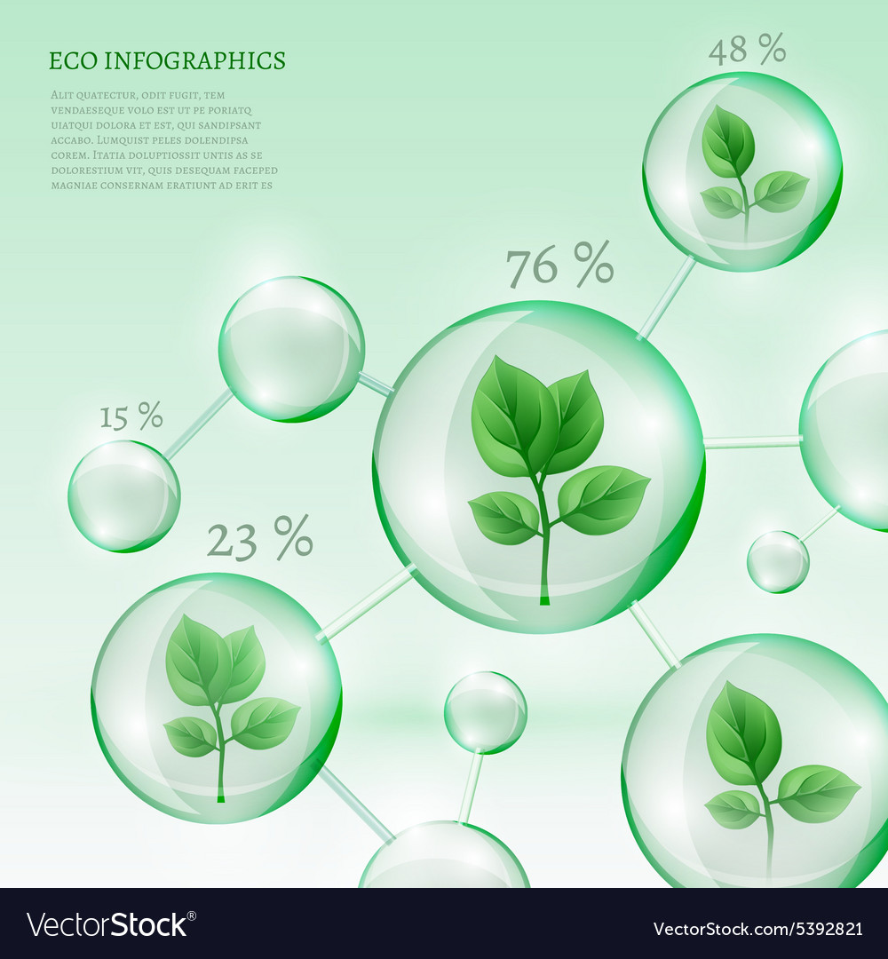 2 infographics bio bubble Royalty Free Vector Image