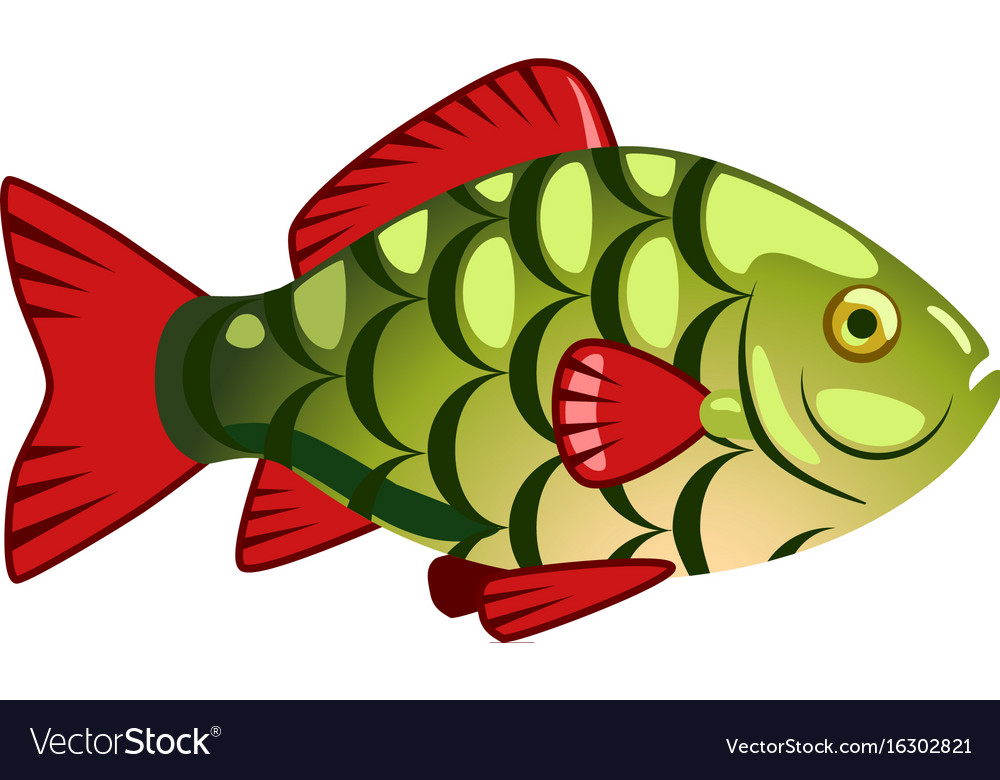 Green fish Royalty Free Vector Image - VectorStock