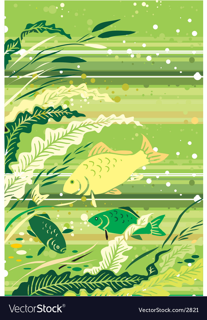 River fish Royalty Free Vector Image - VectorStock