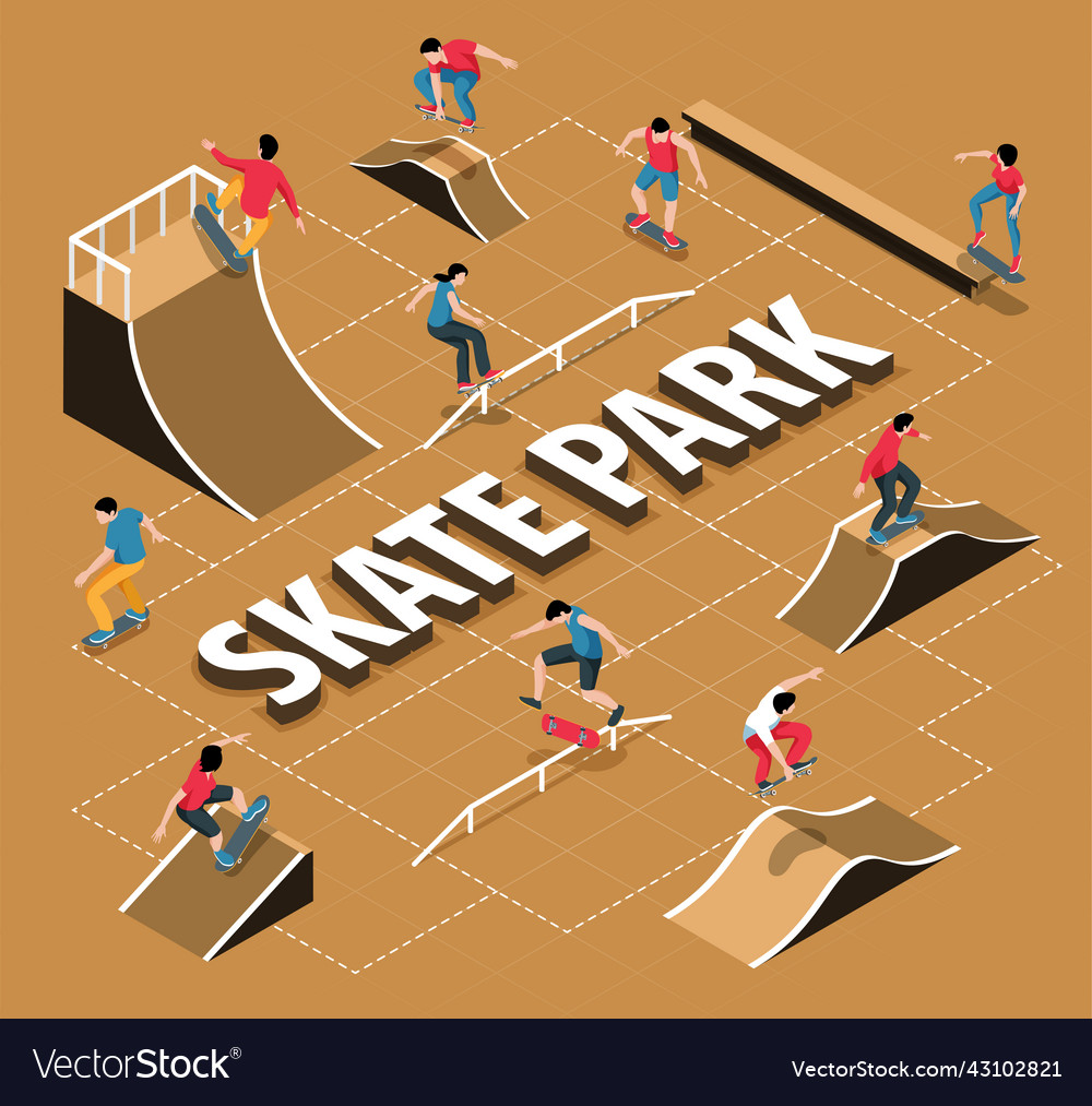 Skate park flowchart Royalty Free Vector Image