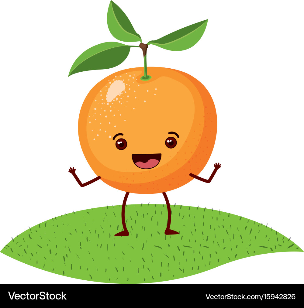 White background with realistic caricature orange Vector Image
