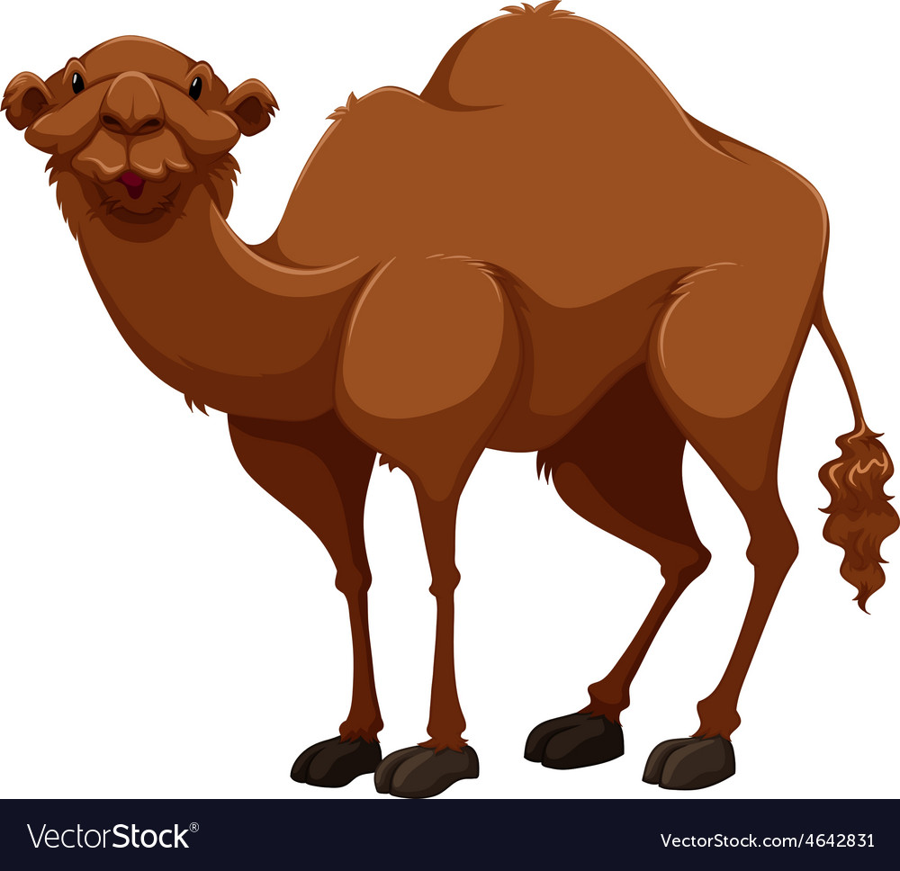 Camel Royalty Free Vector Image - VectorStock