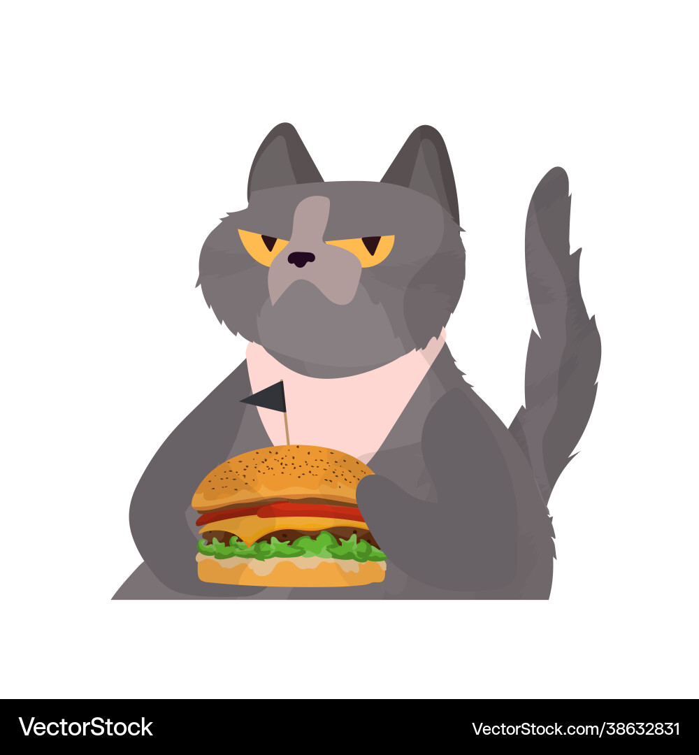 Funny cat with a serious look holds a burger Vector Image