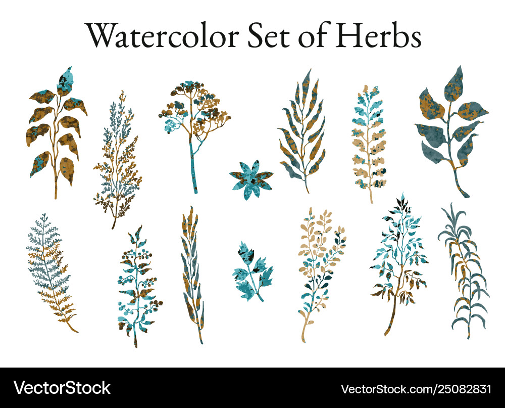Set herbs plants and flowers Royalty Free Vector Image