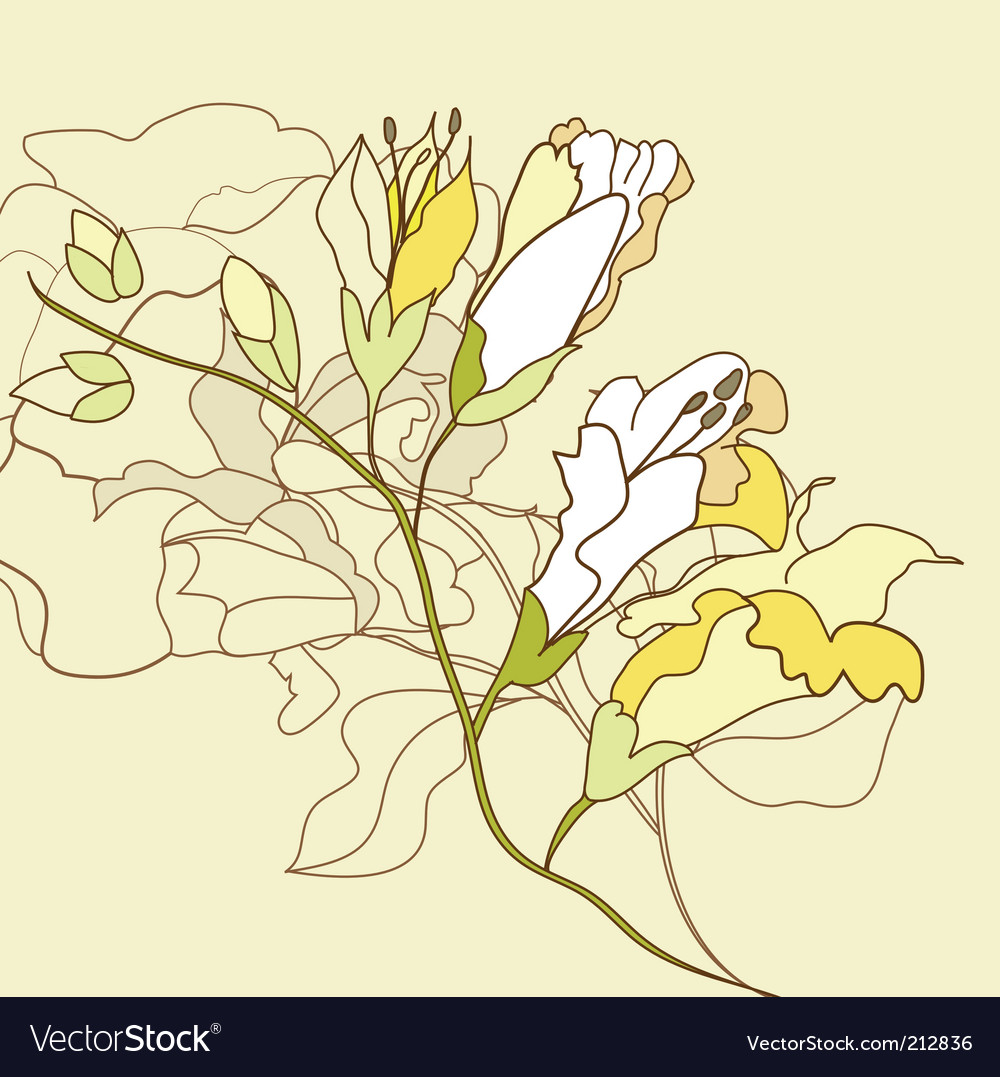 Flowers Royalty Free Vector Image - VectorStock