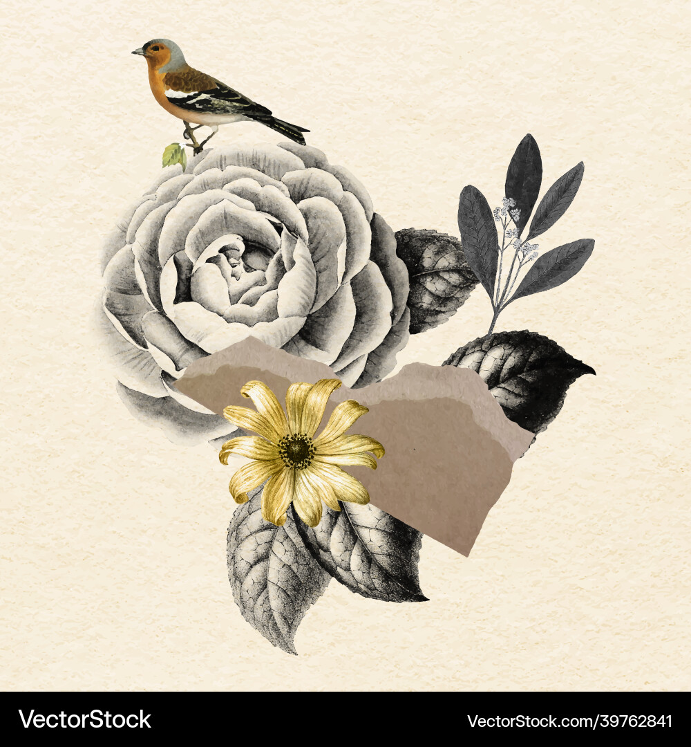 Collage vintage flower mixed media art Royalty Free Vector