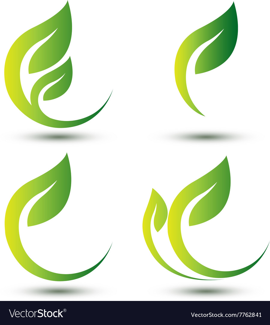 Green leaf Royalty Free Vector Image - VectorStock