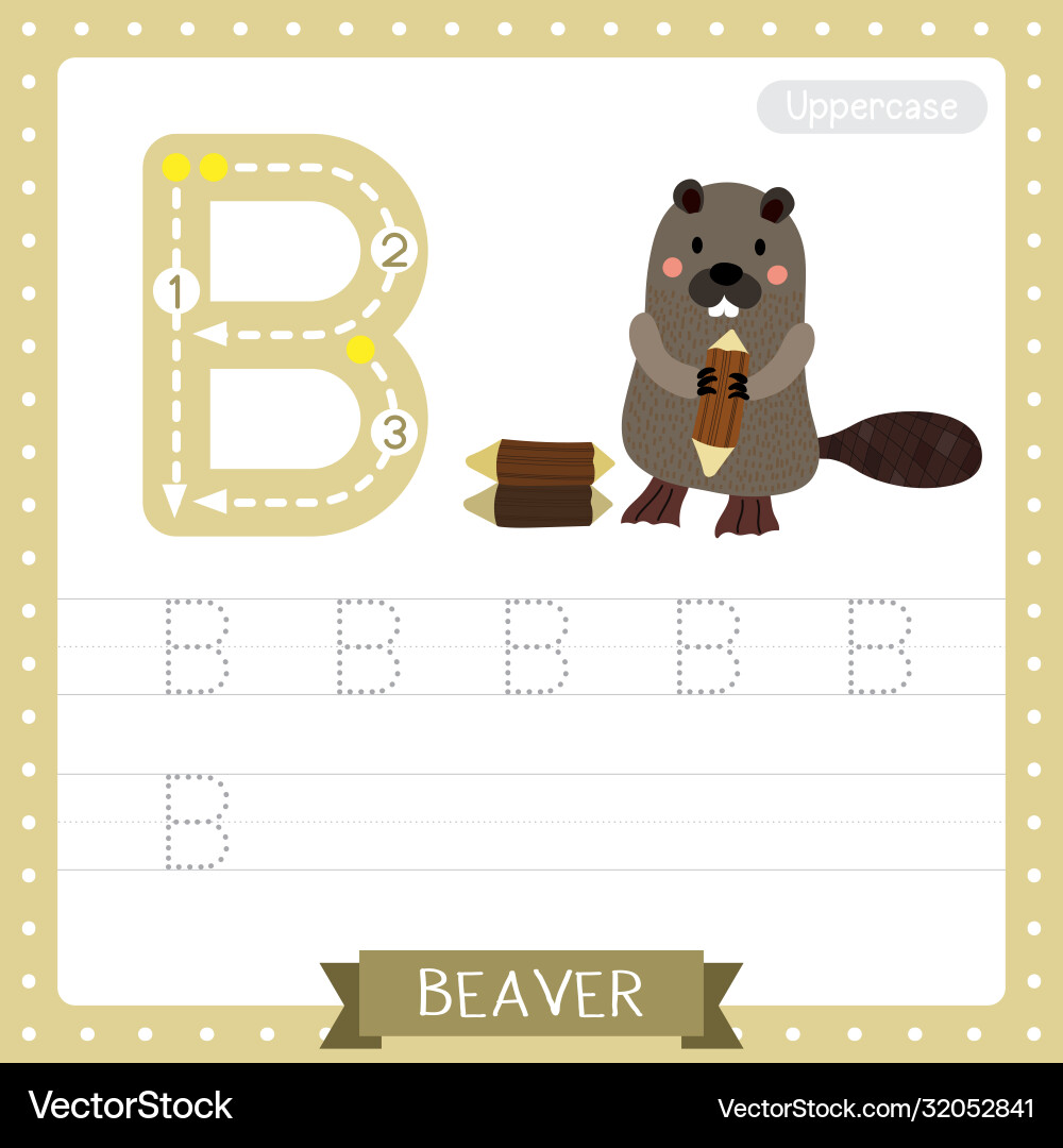 Letter b uppercase tracing practice worksheet Vector Image