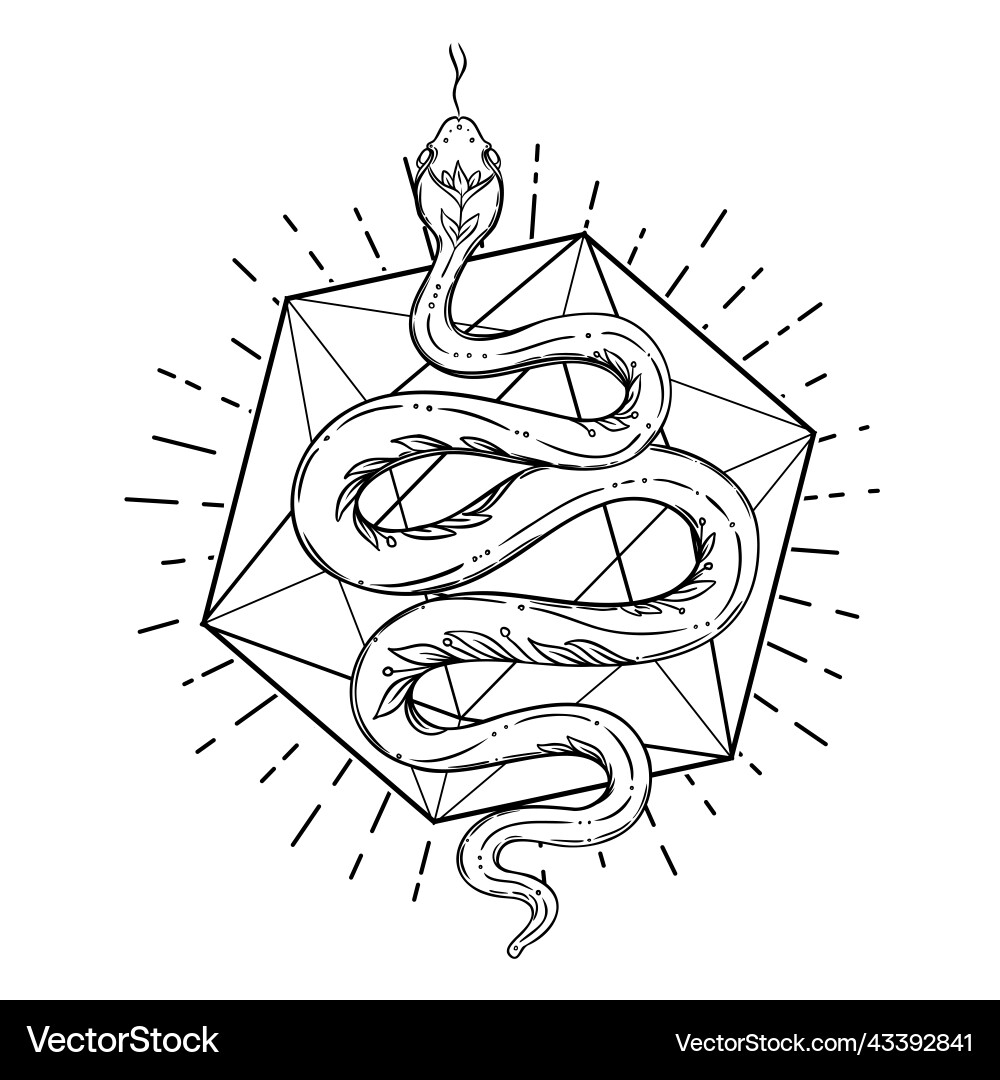 Snake and triple moon phases sacred geometry Vector Image