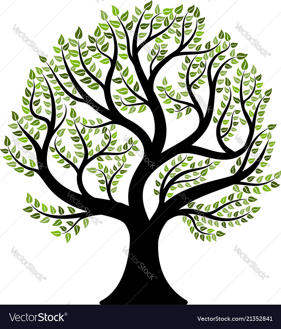 Tree isolated on white background Royalty Free Vector Image