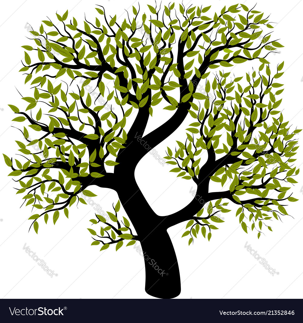 Tree isolated on white background Royalty Free Vector Image