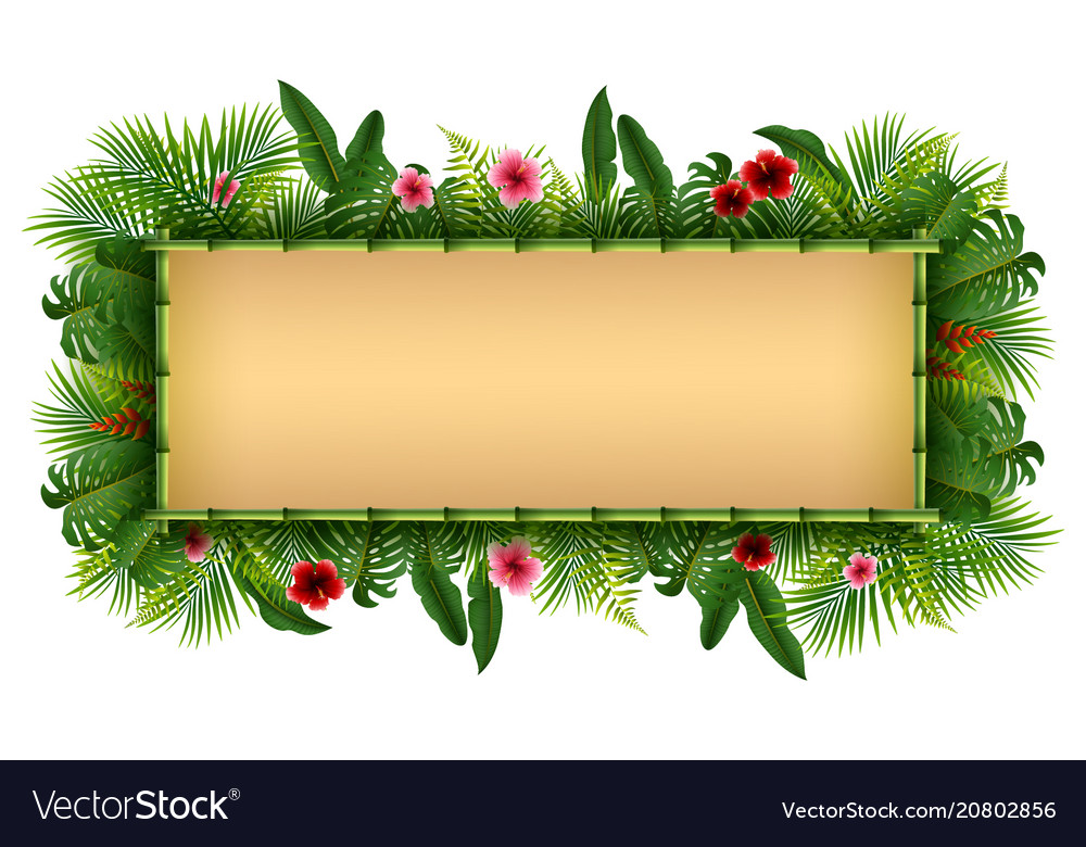 Blank sign with tropical forest background Vector Image
