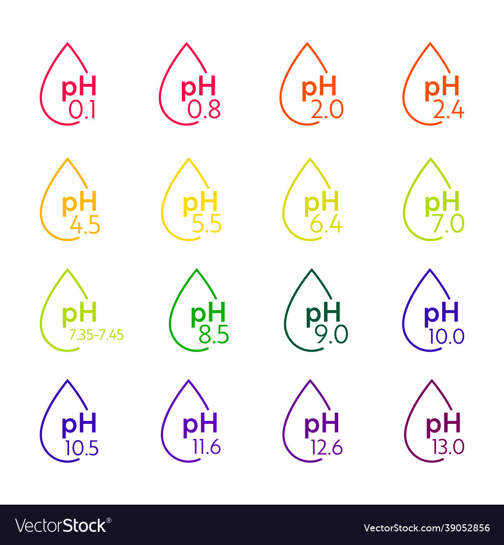 Ph value scale chart Royalty Free Vector Image