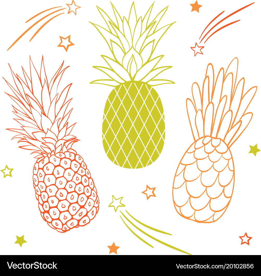 Set of three pastel pineapple fruit styles Vector Image