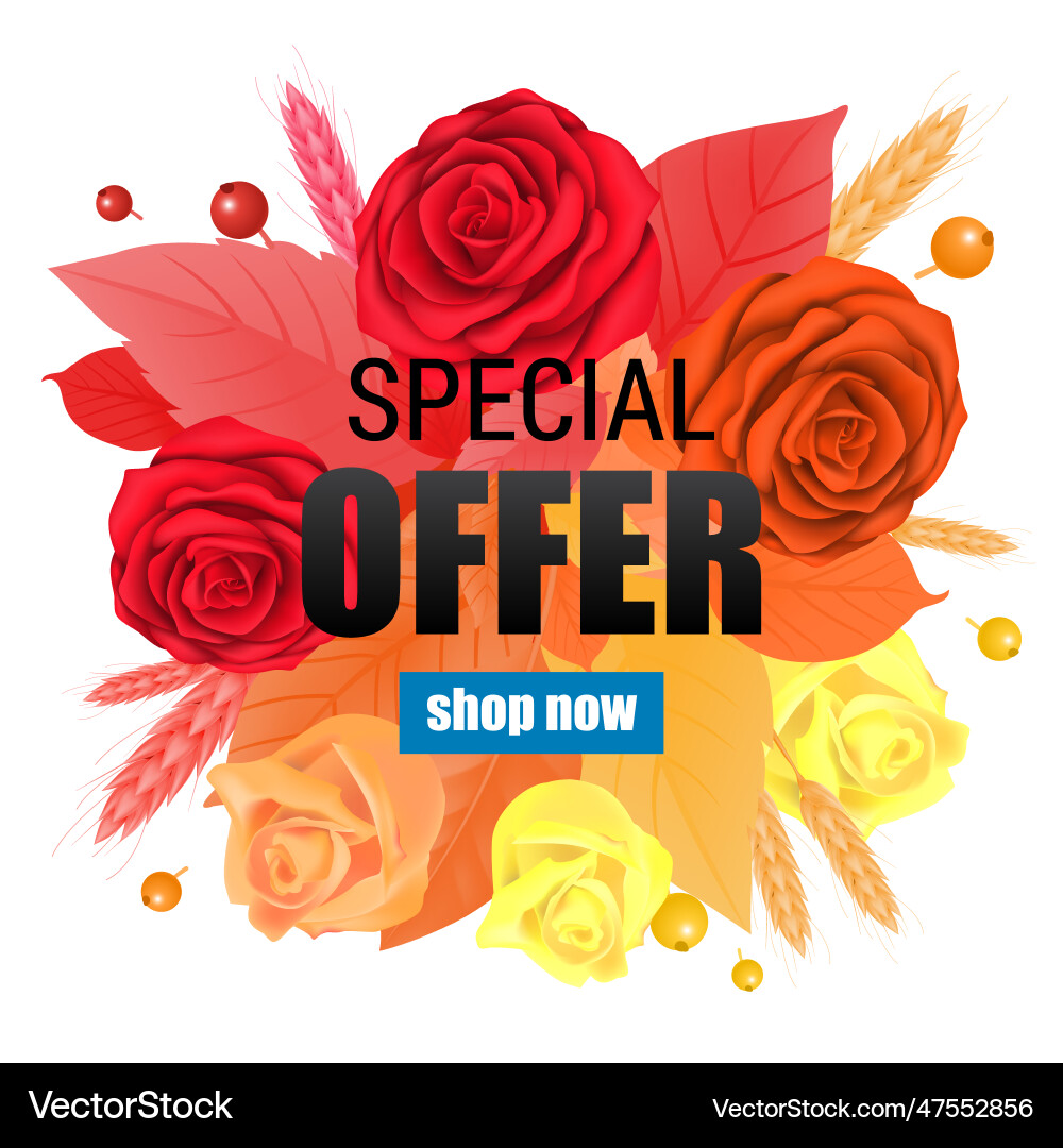 Special offer shop now lettering with gradient Vector Image