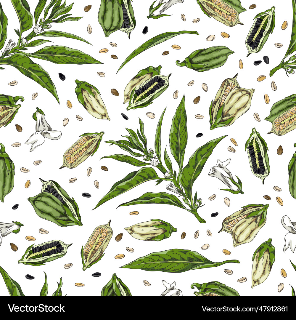 Color seamless pattern with sesame plant branch Vector Image