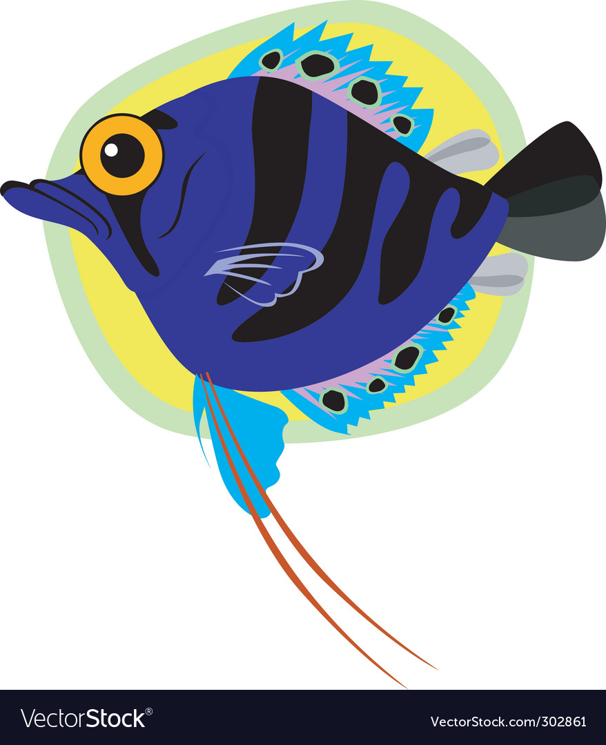 Fish Royalty Free Vector Image - VectorStock