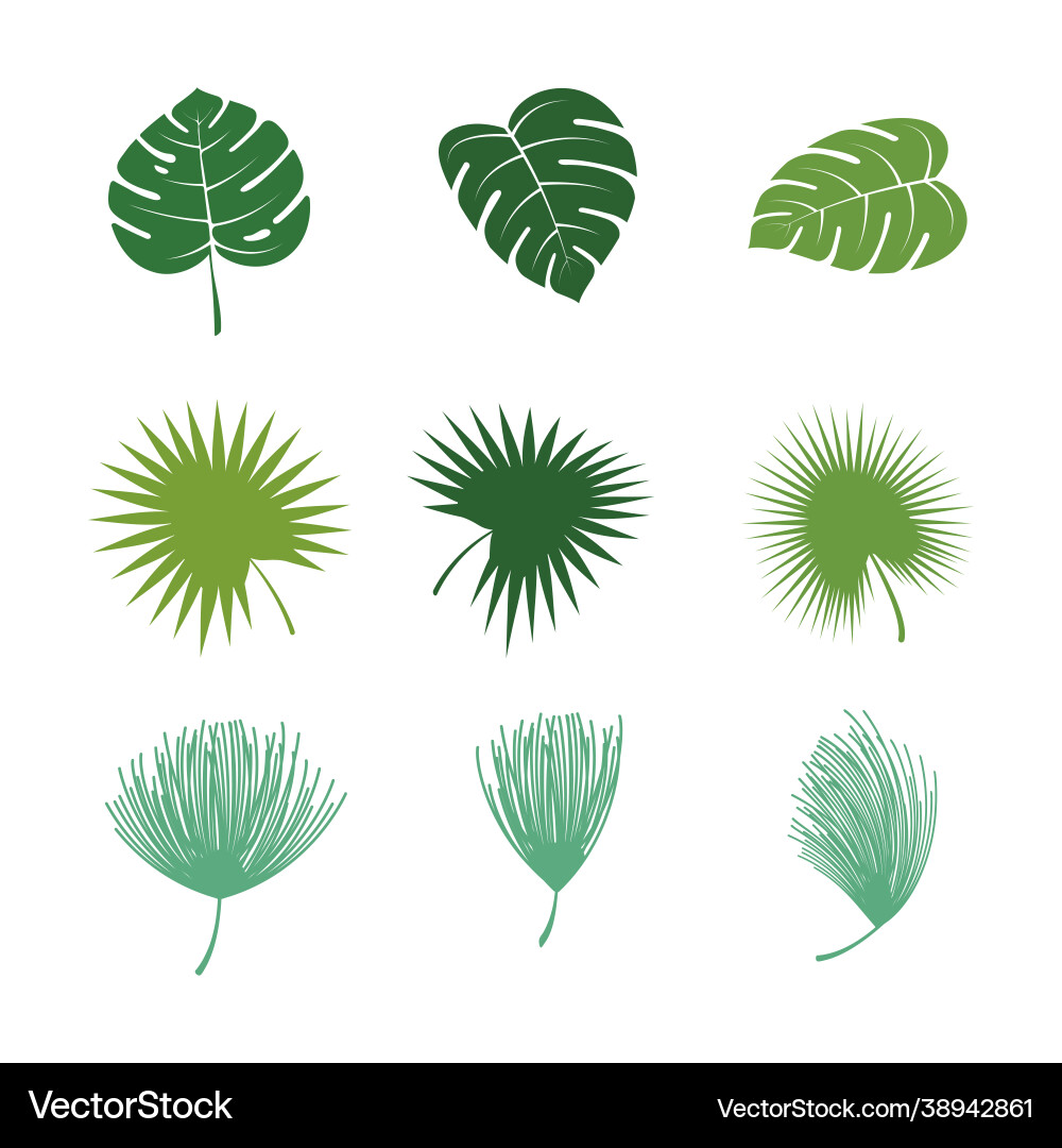 Tropical leaf icon design Royalty Free Vector Image