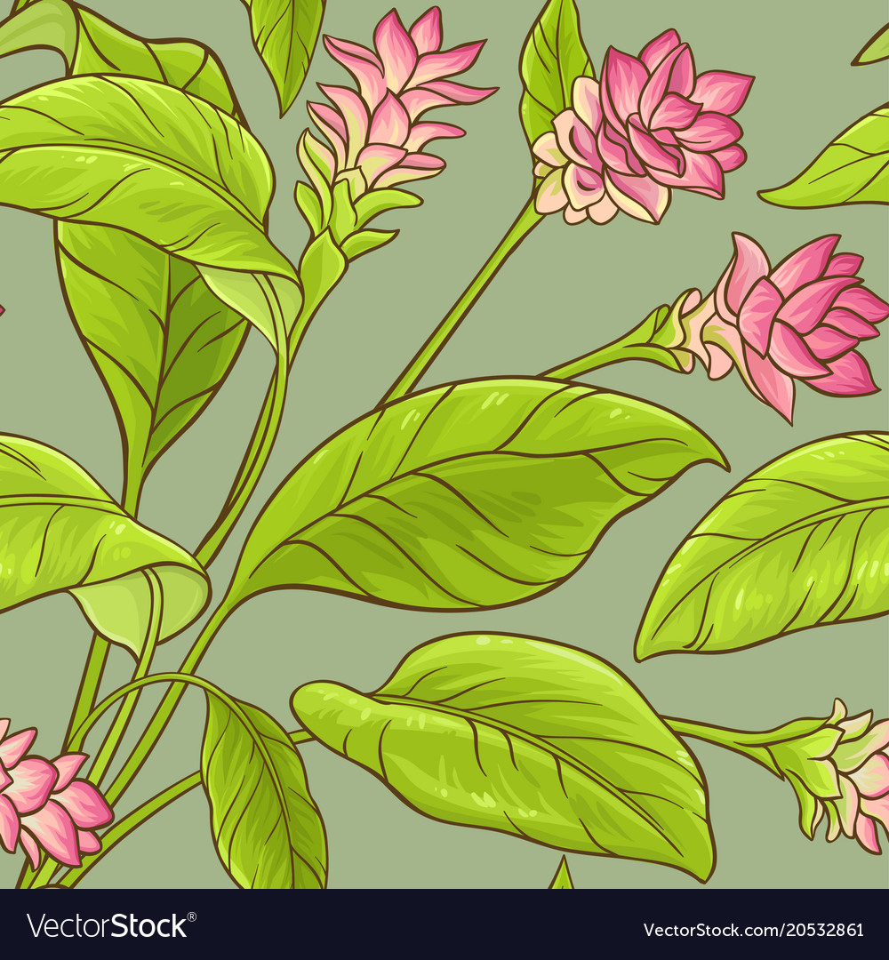 Turmeric pattern Royalty Free Vector Image - VectorStock