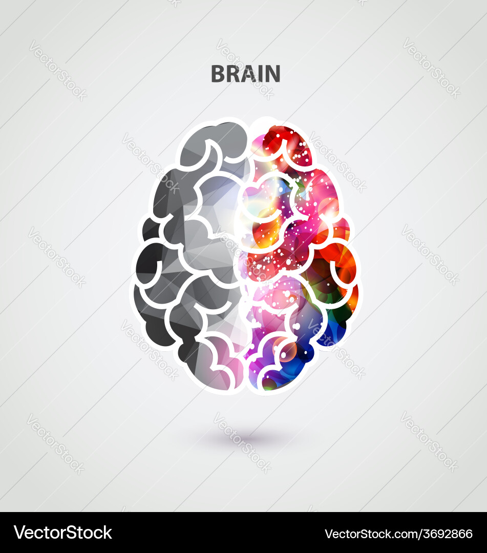 Left and right part of brain Royalty Free Vector Image