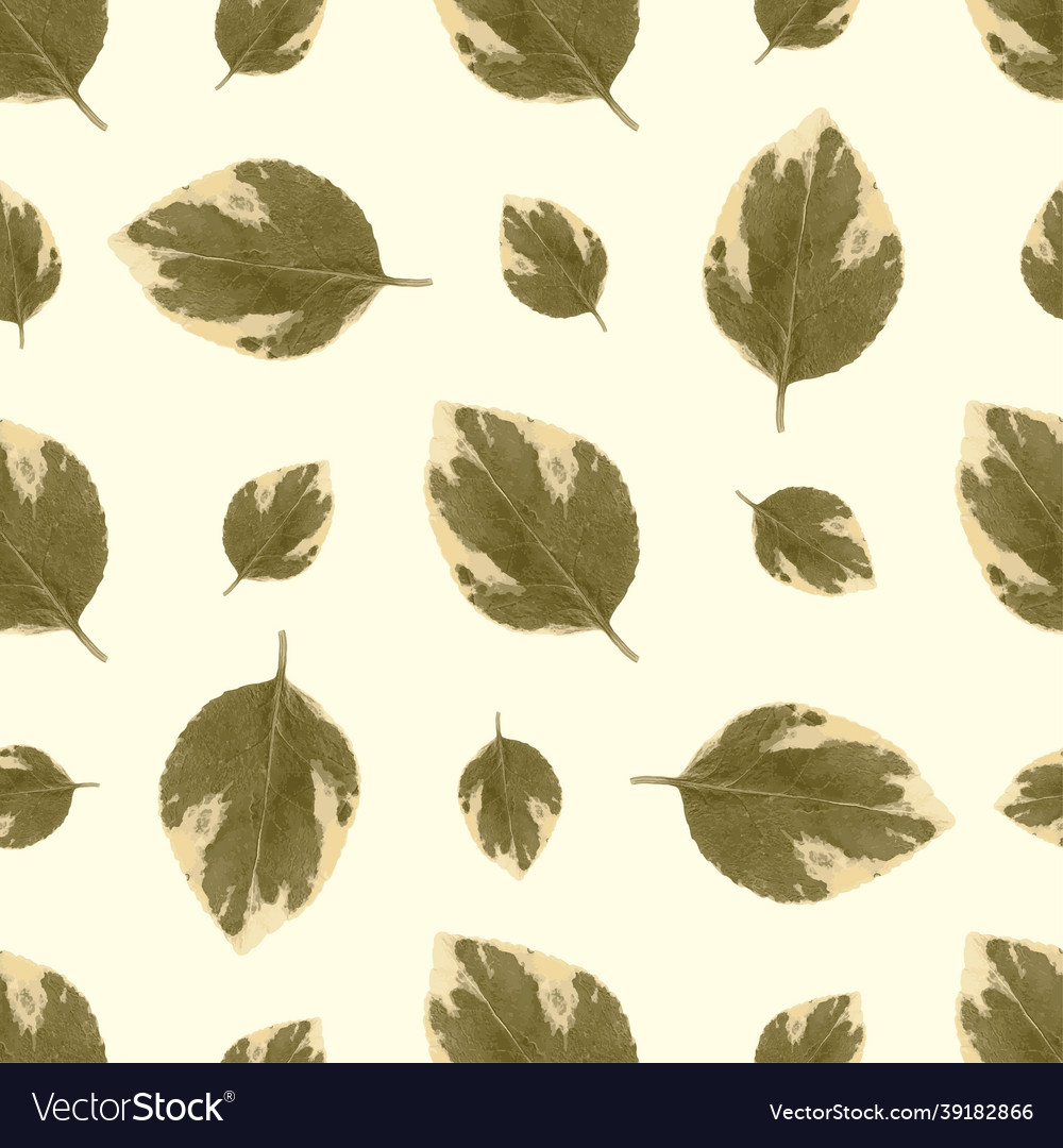 Stylish pattern with autumn leaves leaf fall Vector Image