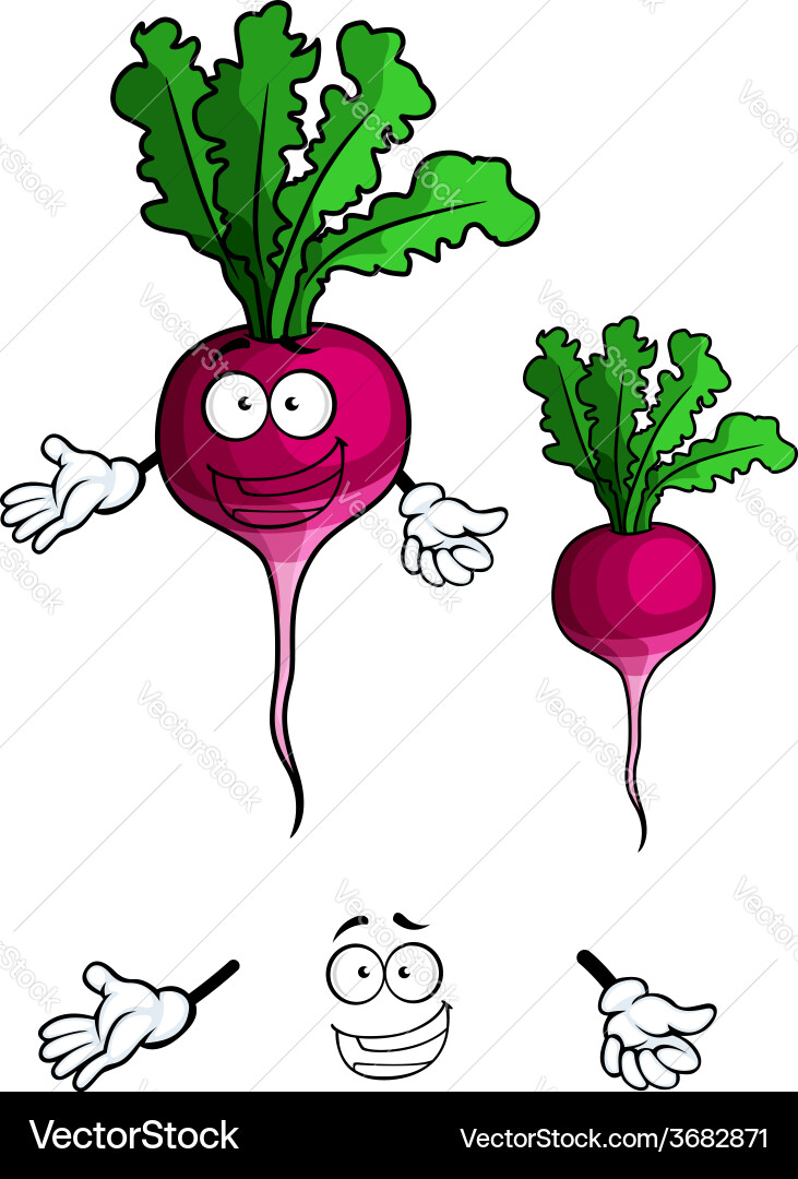 Happy smiling beet vegetable in cartoon style Vector Image