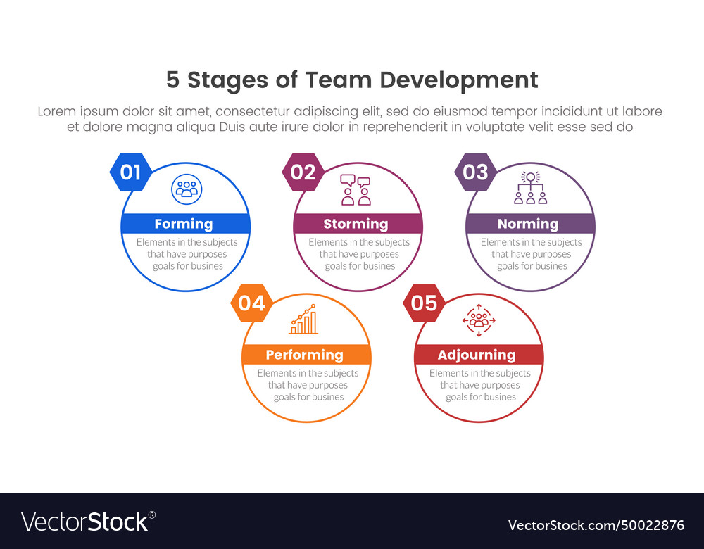 5 stages team development model framework Vector Image