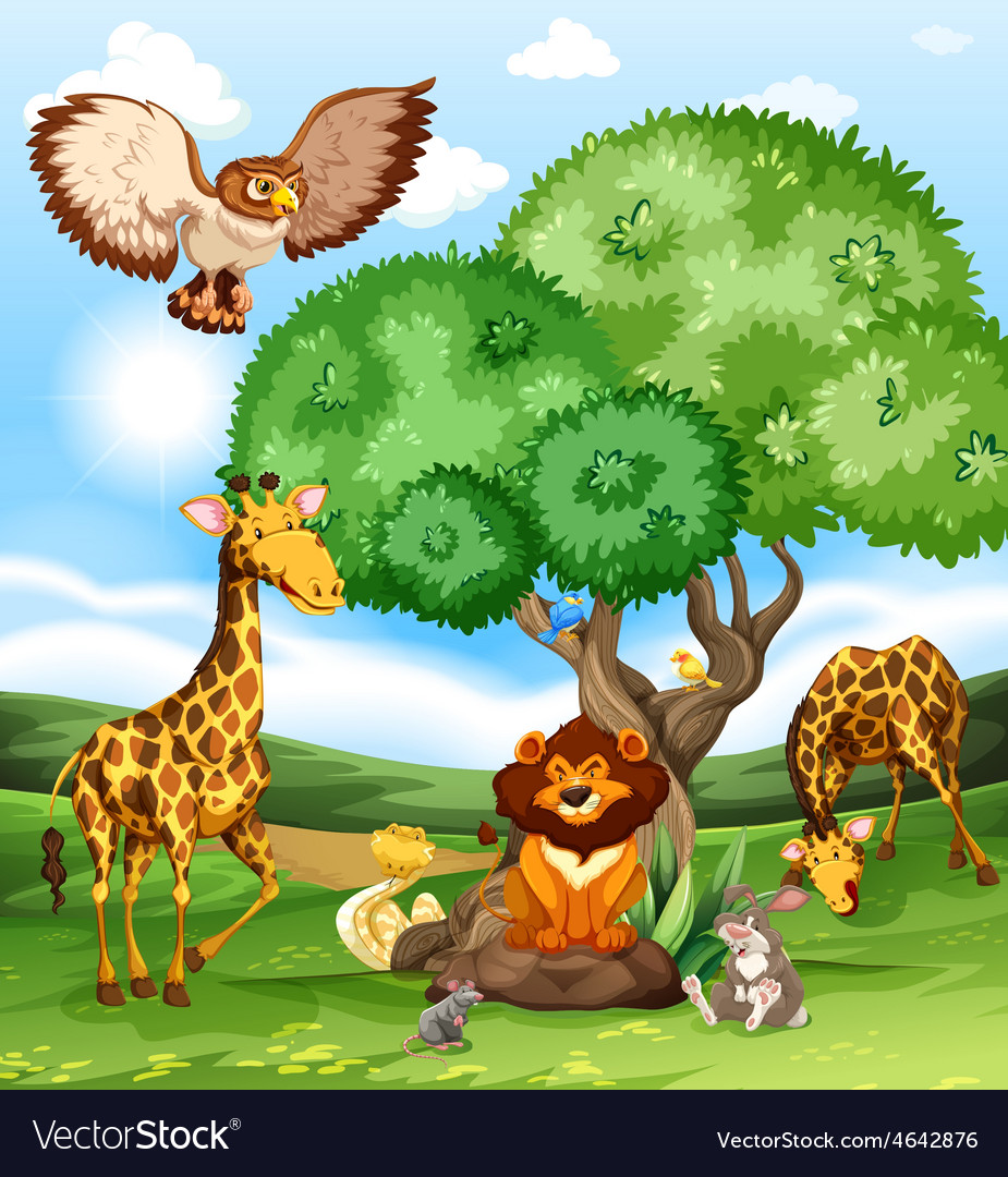Animals Royalty Free Vector Image - VectorStock