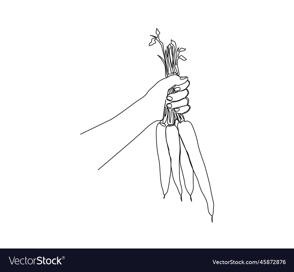 Continuous line drawing of hand holding carrot Vector Image