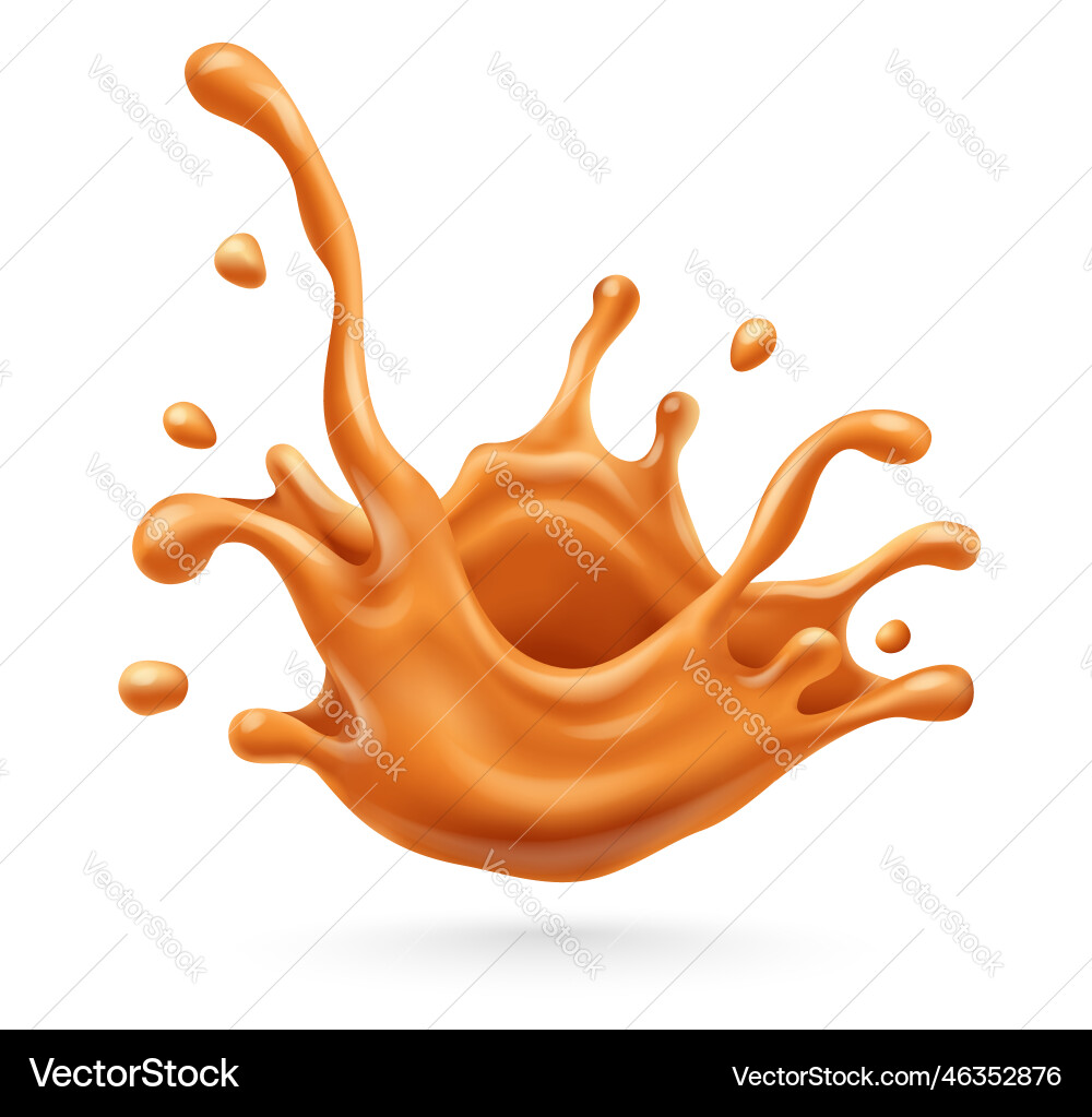 Splash of sweet caramel liquid Royalty Free Vector Image