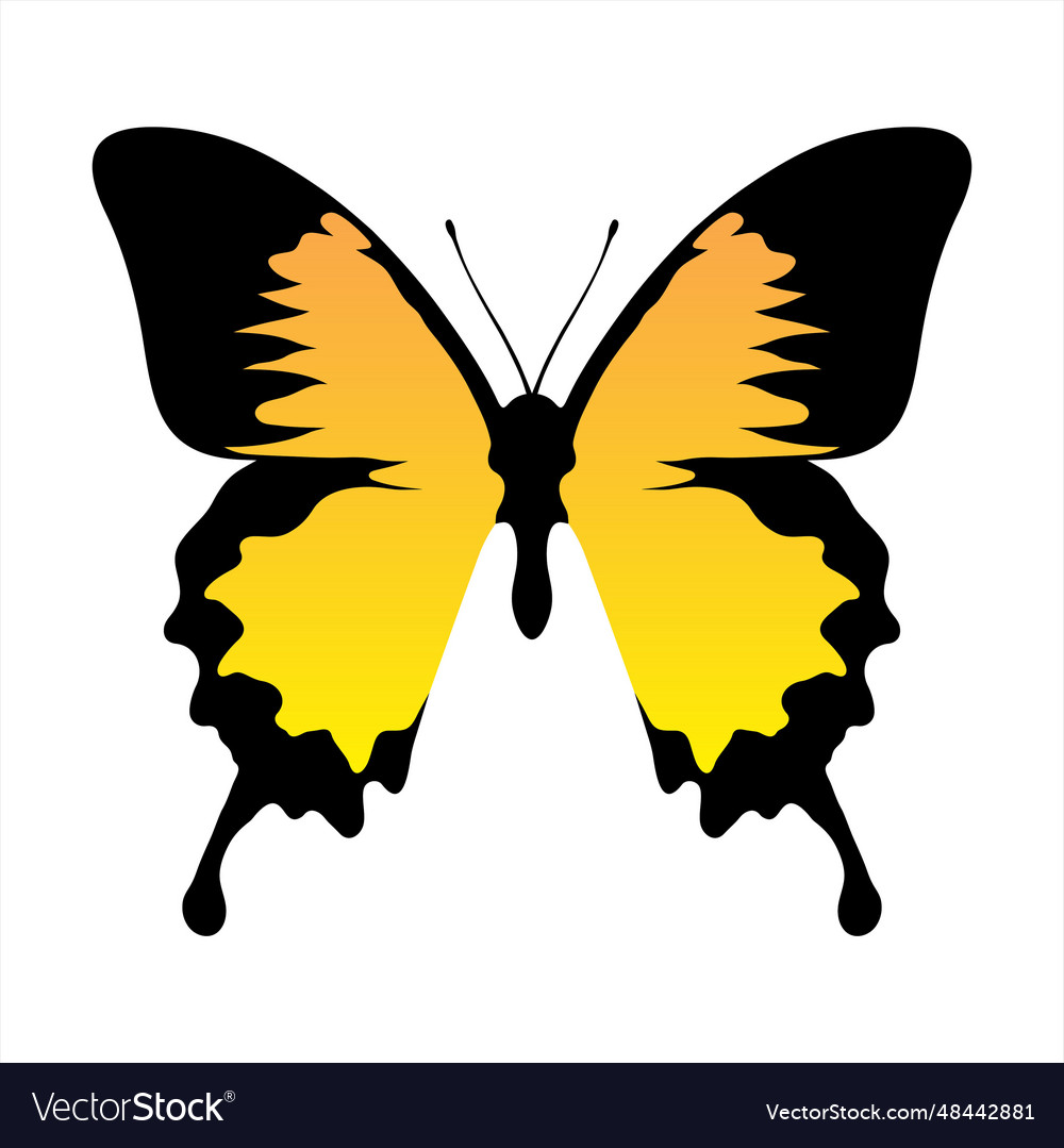 Butterfly stencil Royalty Free Vector Image - VectorStock Butterfly stencil Royalty Free Vector Image - VectorStock