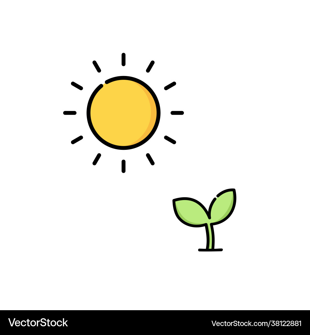 New tree seed icon with sunshine plant Royalty Free Vector