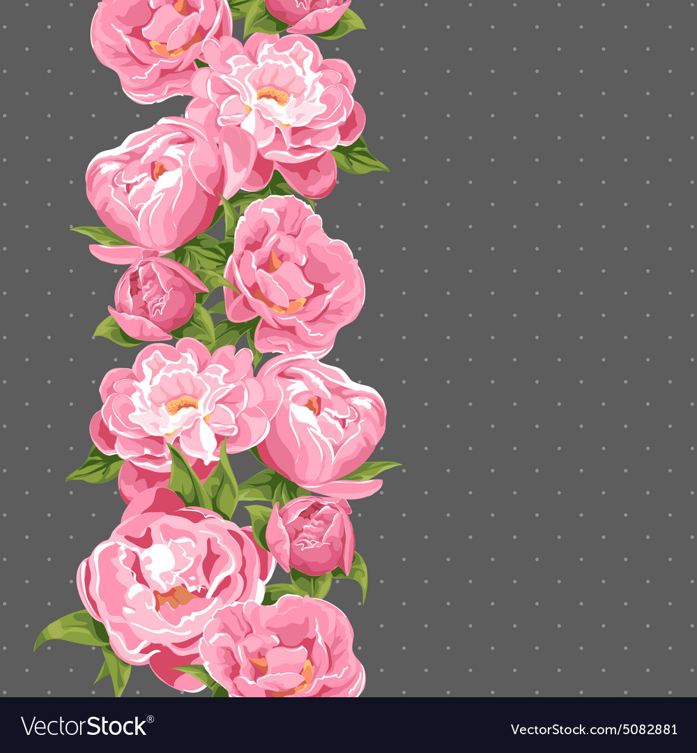Peonies Royalty Free Vector Image - VectorStock