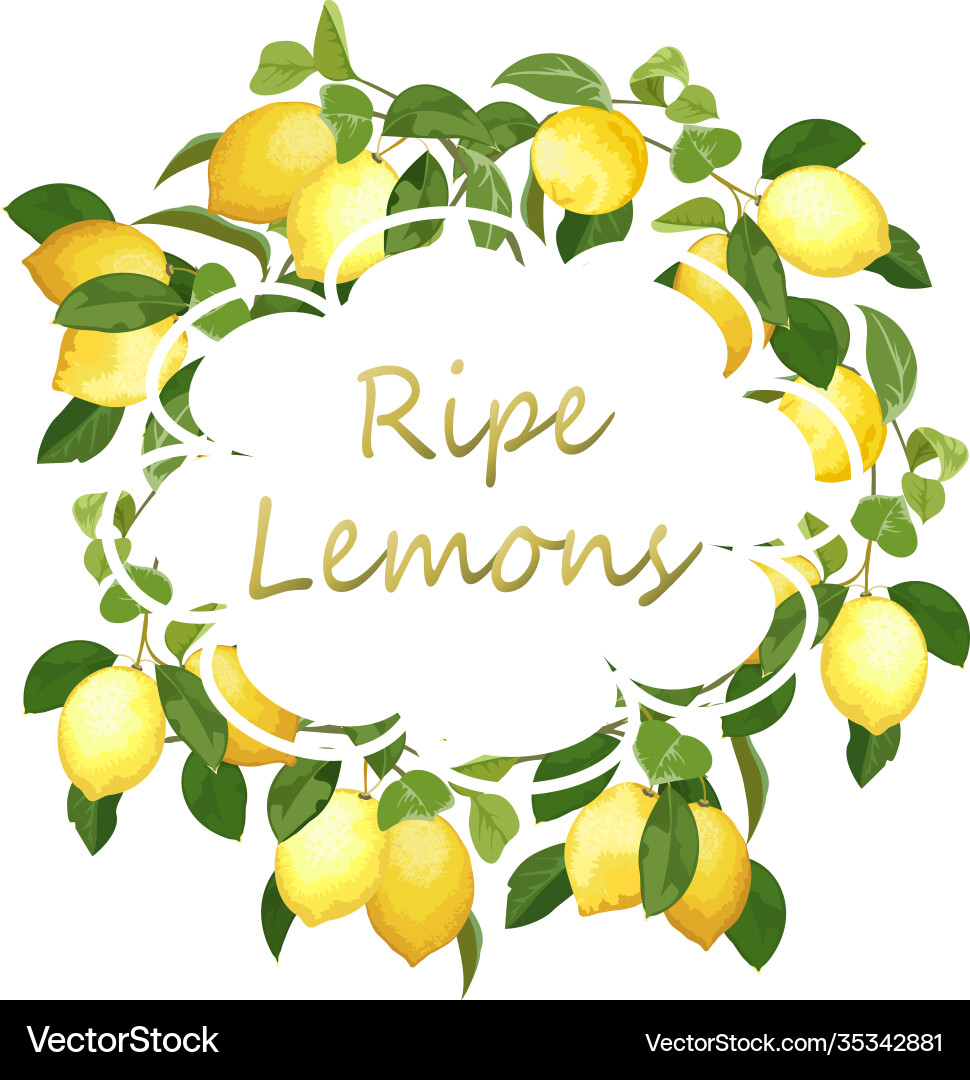 With lemons and text Royalty Free Vector Image